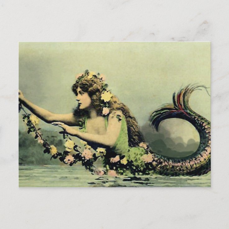 Mermaid and Roses Postcard | Zazzle