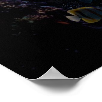 Mermaid Poster | Zazzle