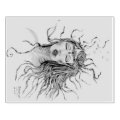 Mermaid Woman Girl Head Face Portrait Lady Rubber Stamp | Zazzle