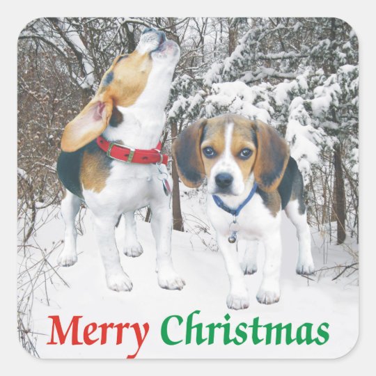 Merry Christmas Beagle Snowy Woods Stickers | Zazzle.com