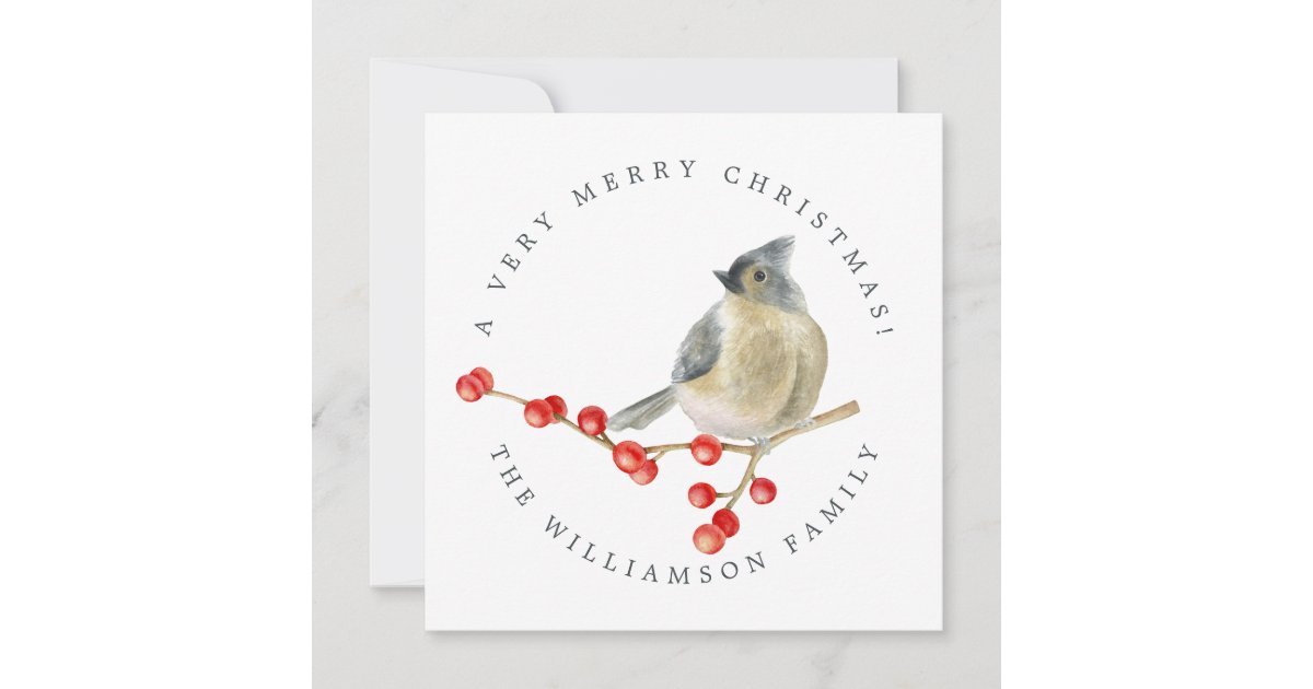 Merry Christmas Bird on Berries Sprig Holiday Card | Zazzle