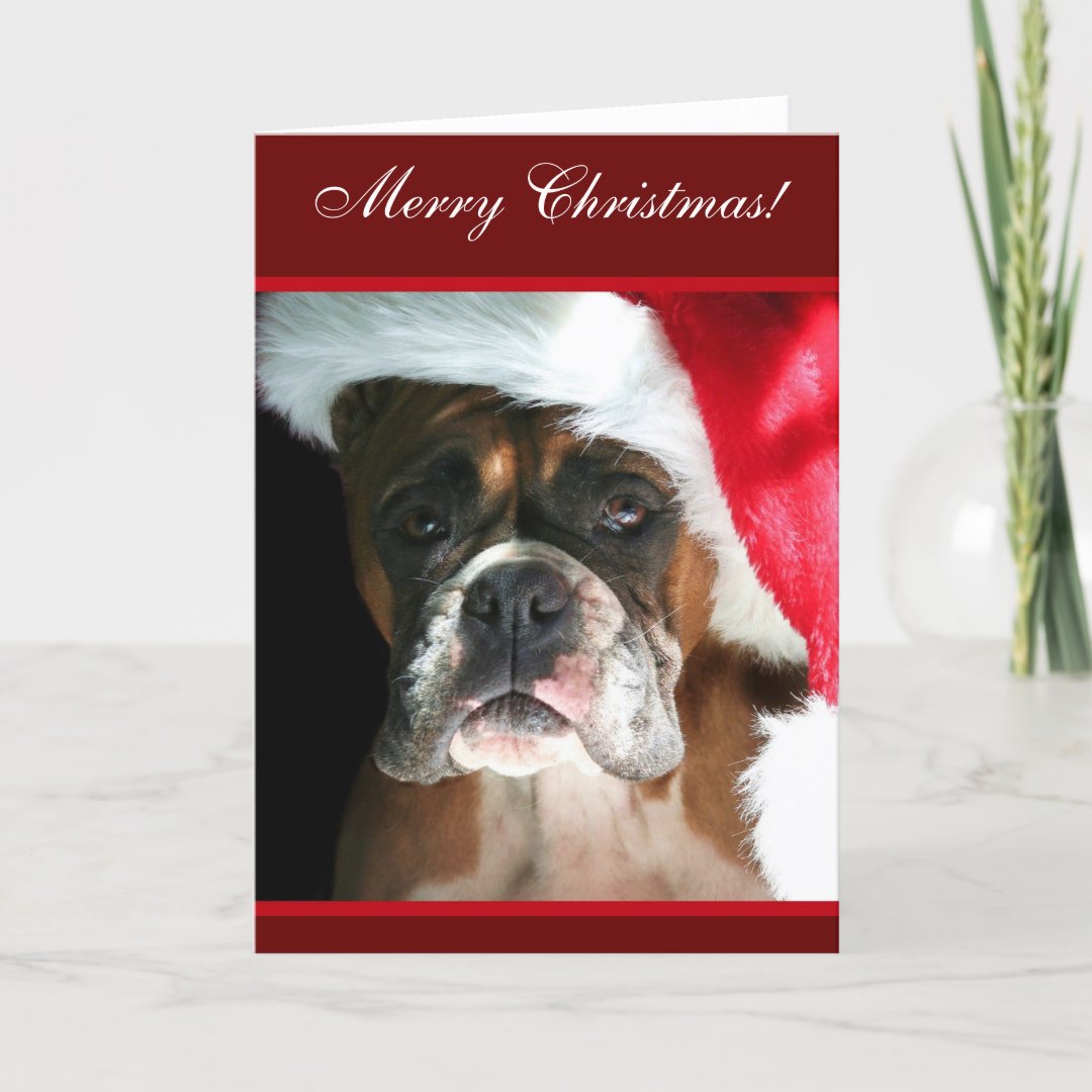 Merry Christmas Boxer Dog greeting Card | Zazzle