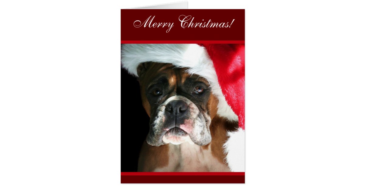 Merry Christmas Boxer Dog greeting Card | Zazzle