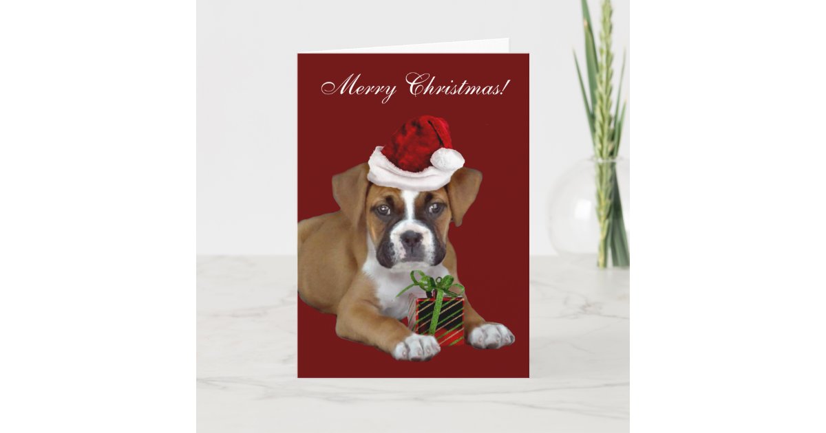 Merry Christmas Boxer Dog greeting Card | Zazzle