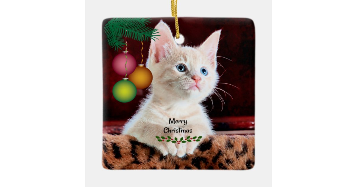 Merry Christmas Cat Ornament | Zazzle