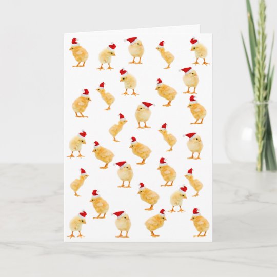 Merry Christmas Chicks card | Zazzle.com