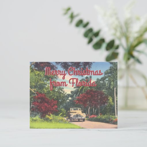 Merry Christmas Florida Vintage Greeting Holiday Postcard | Zazzle