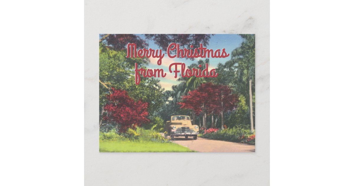 Merry Christmas Florida Vintage Greeting Holiday Postcard | Zazzle