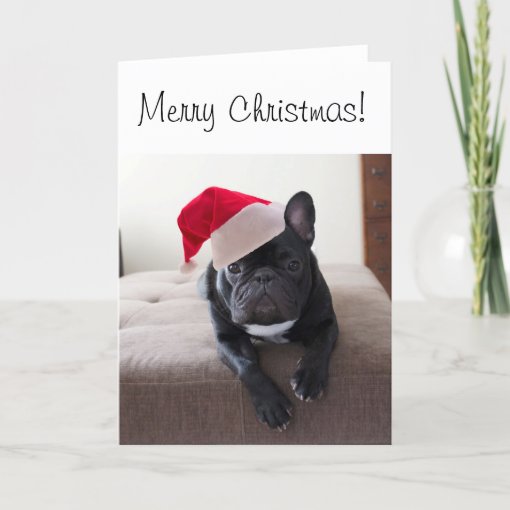 Merry Christmas Frenchie Card | Zazzle