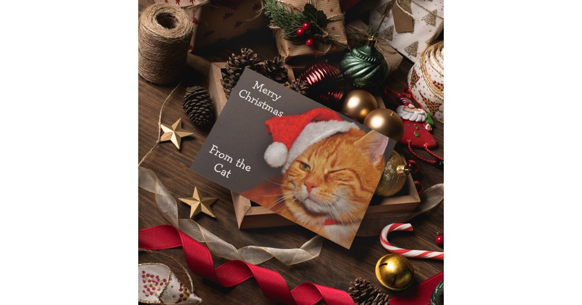 Merry Christmas from the Cat Holiday Card | Zazzle