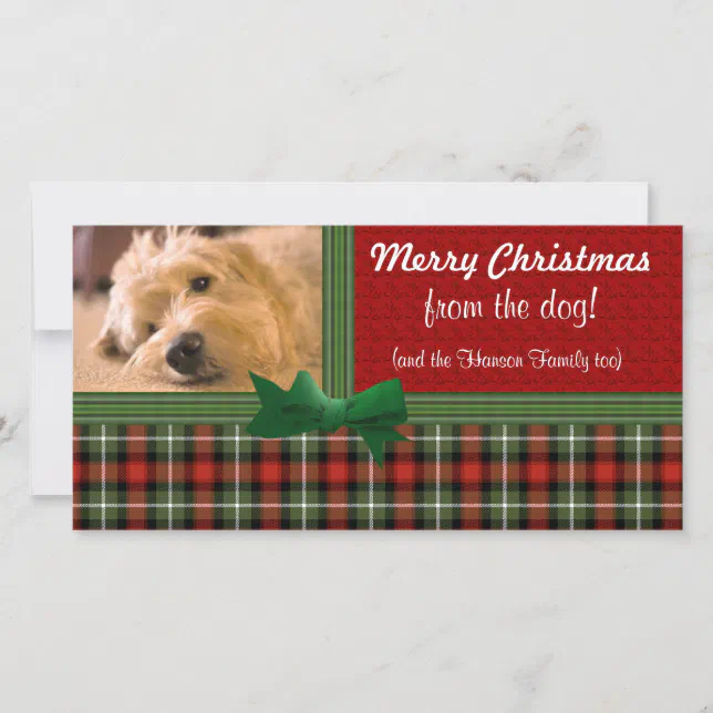 Merry Christmas from the Dog Custom Holiday Card | Zazzle