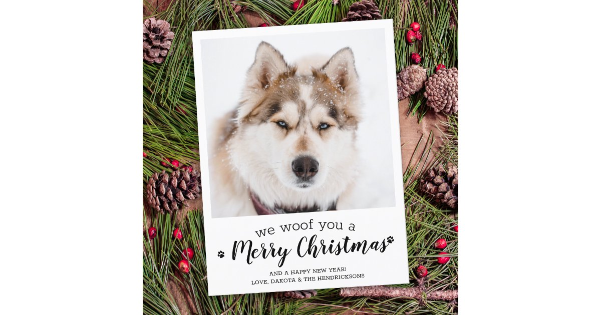 Merry Christmas From The Dog Modern Pet Photo Holiday Postcard | Zazzle