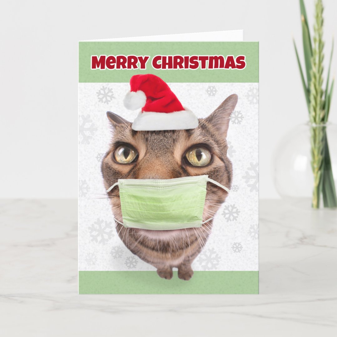 Merry Christmas Funny Tabby Cat in Face Mask Holiday Card | Zazzle