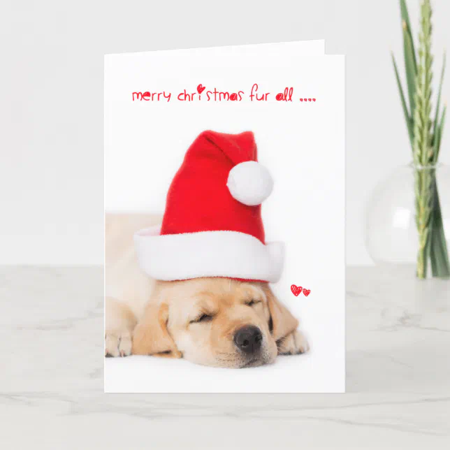 Merry Christmas Fur All Yellow Lab puppy Holiday Card | Zazzle