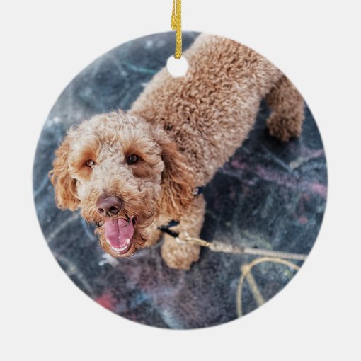 Merry Christmas Labradoodle | Add Your Dog's Photo Ceramic Ornament ...