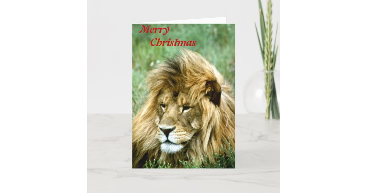 Merry Christmas lion Holiday Card | Zazzle