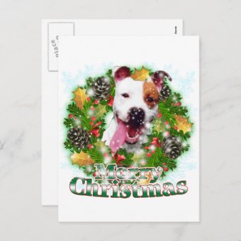 Merry Christmas Pitbull Holiday Postcard | Zazzle