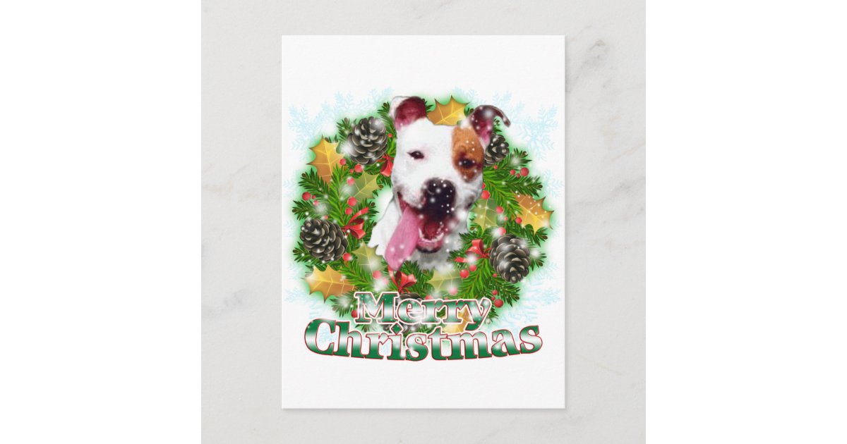 Merry Christmas Pitbull Holiday Postcard | Zazzle