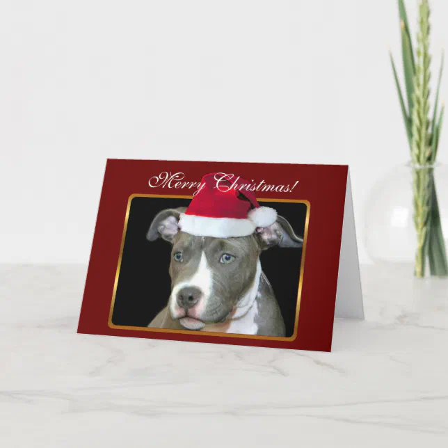 Merry Christmas pitbull puppy greeting card | Zazzle