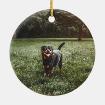 Merry Christmas Rottweiler | Add Your Dog's Photo Ceramic Ornament | Zazzle
