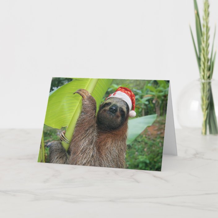 Merry Christmas Sloth Holiday Card | Zazzle.com