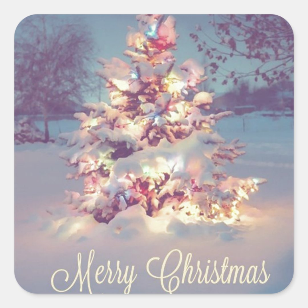Merry Christmas Snow Covered Tree Square Sticker | Zazzle