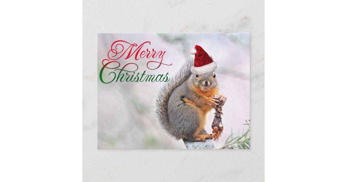 Merry Christmas Squirrel Holiday Postcard | Zazzle.com