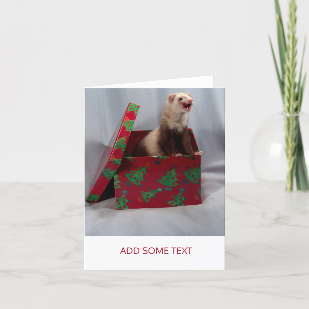 Merry Christmas — Surprise Ferret Holiday Card | Zazzle