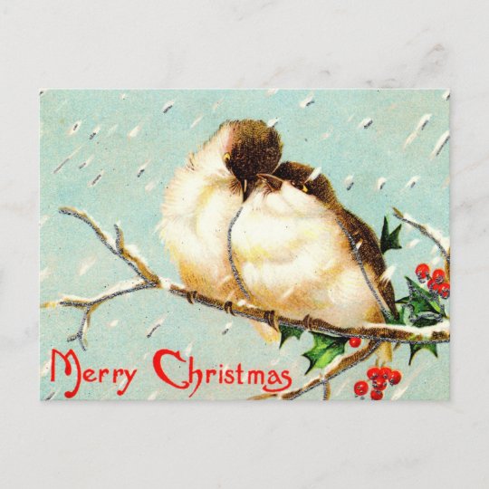 Merry Christmas Vintage Birds Postcard | Zazzle.com