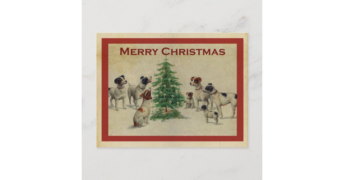 Merry dog Christmas Postcard | Zazzle