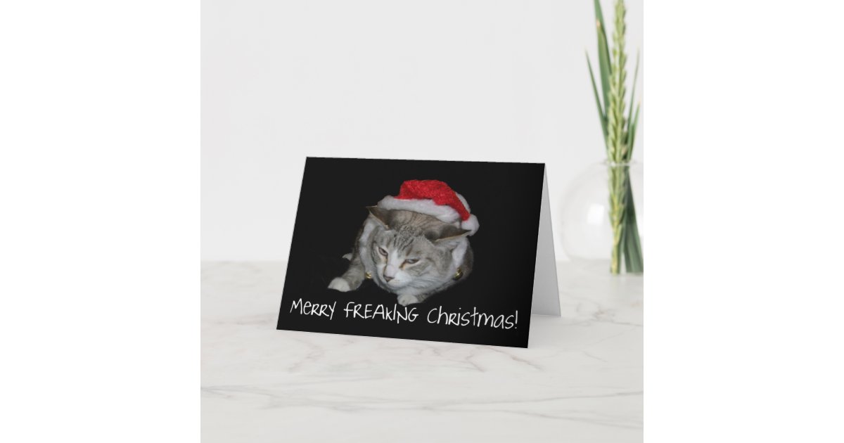 Merry Freaking Christmas Fat Cat Christmas Card | Zazzle