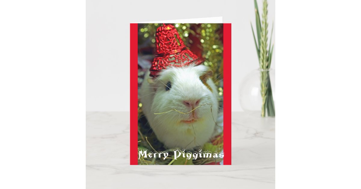 Merry Piggimas card | Zazzle