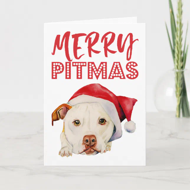 Merry Pitmas | Funny Santa Pit Bull Dog Holiday Card | Zazzle