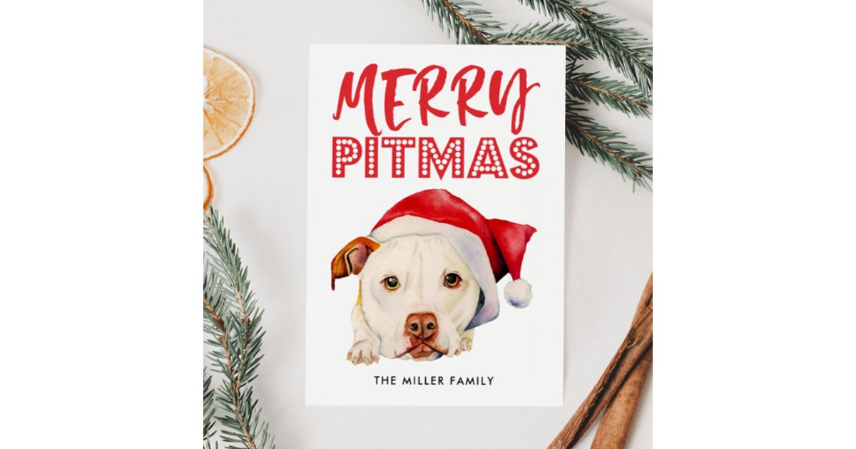 Merry Pitmas | Funny Santa Pit Bull Dog Holiday Card | Zazzle