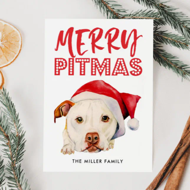 Merry Pitmas | Funny Santa Pit Bull Dog Holiday Card | Zazzle