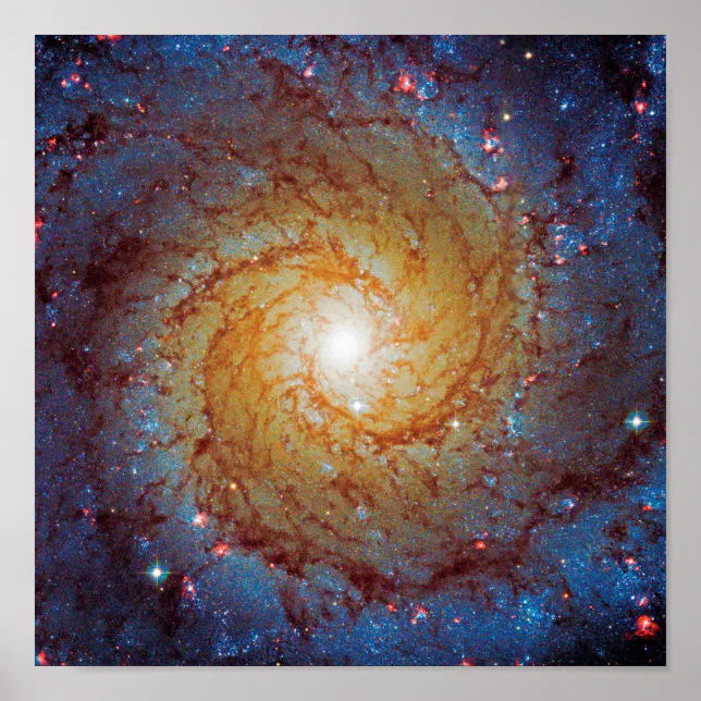 Messier 74 Spiral Galaxy Outer Space Photo Poster | Zazzle