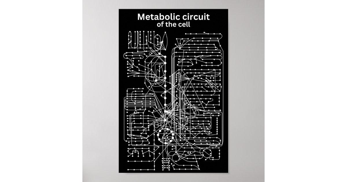 Metabolic circuit of the cell poster | Zazzle
