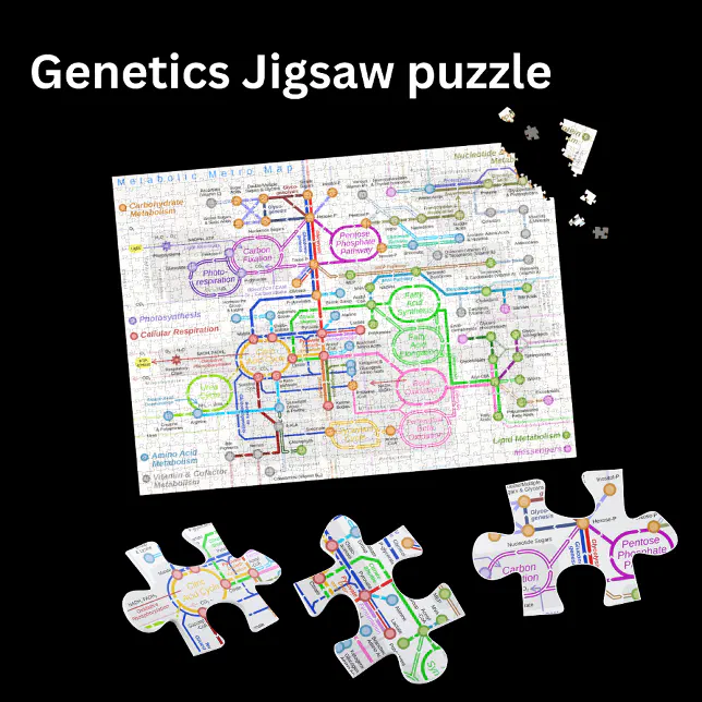 Metabolic pathway metro map jigsaw puzzle | Zazzle