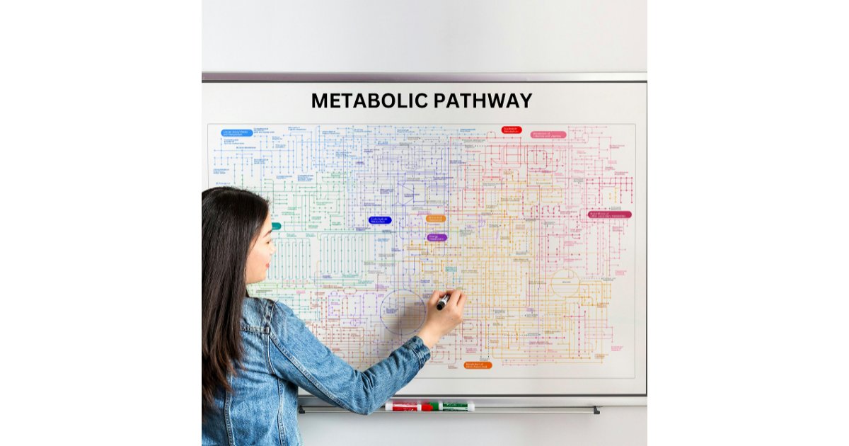 Metabolic pathway of the cell poster | Zazzle