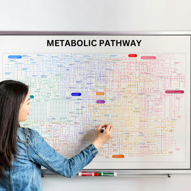 Metabolic pathway of the cell poster | Zazzle