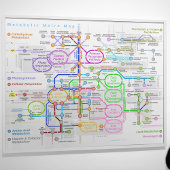 Metabolic pathway subway map poster | Zazzle