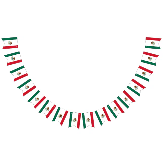 Mexican flag banner | Zazzle