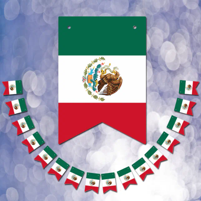 Mexico Banners, Mexican Flag Party / Wedding | Zazzle