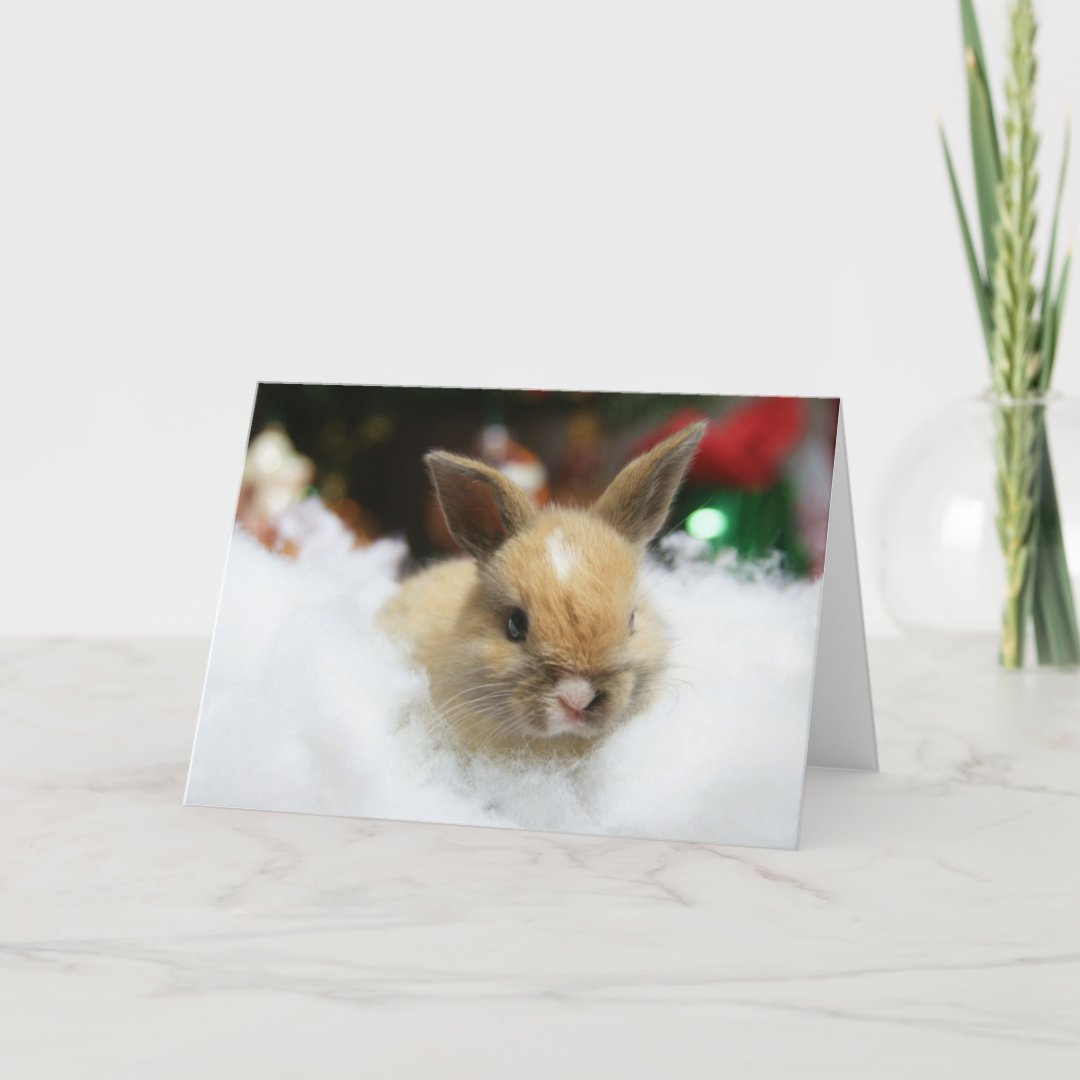 MHRR Honeybadger baby bunny rabbit Christmas card | Zazzle
