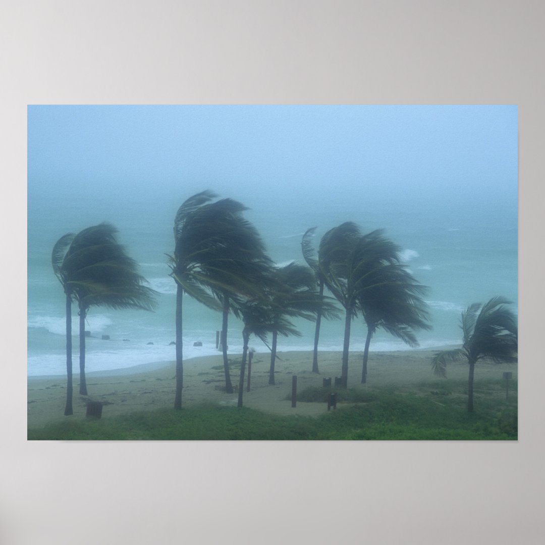 Miami Beach, Florida, hurricane winds lashing Poster | Zazzle