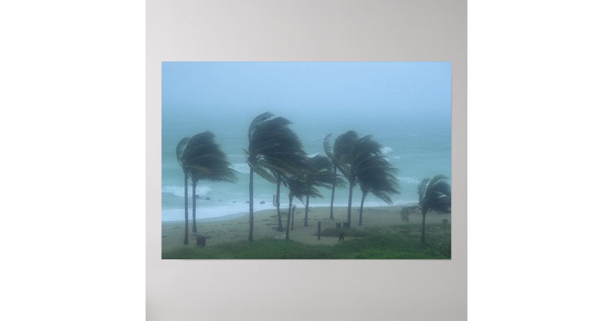 Miami Beach, Florida, hurricane winds lashing Poster | Zazzle