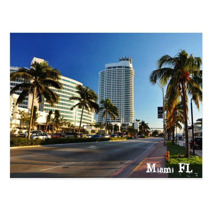 Miami FL Postcard | Zazzle