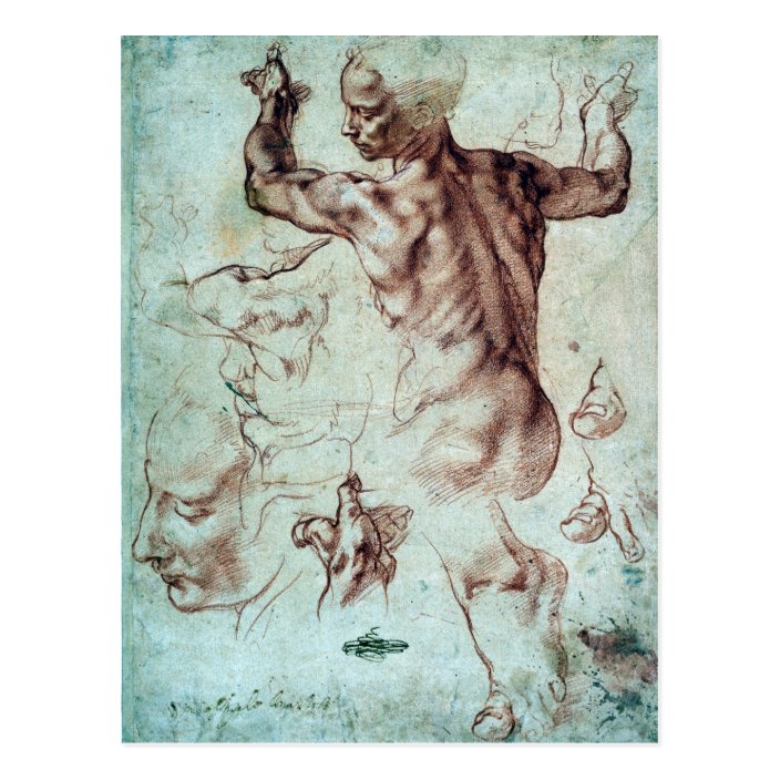 Michelangelo Buonarroti Studies for Libyan Sibyl Postcard | Zazzle.com