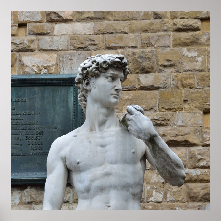 Michelangelo's David Poster | Zazzle.com
