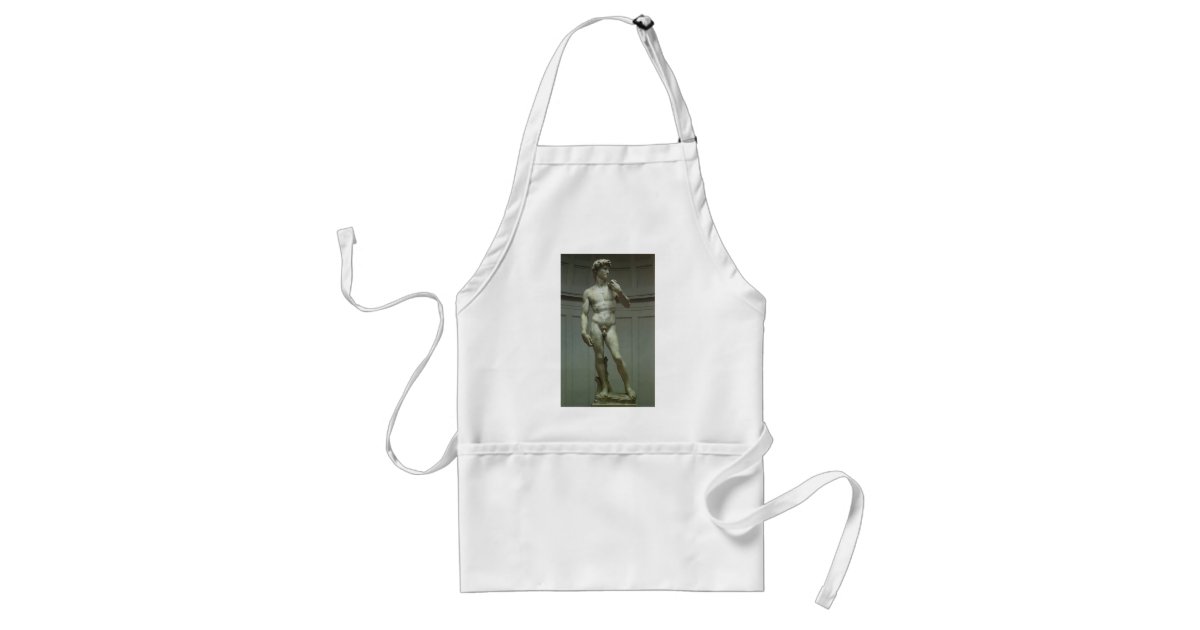 Michelangelo's Statue of David Adult Apron | Zazzle
